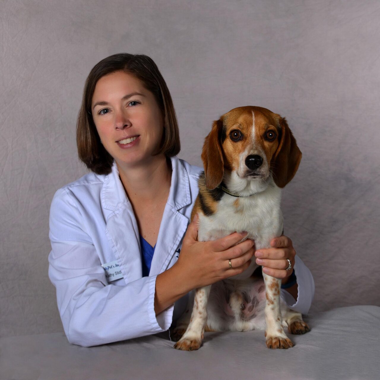 My Pet's Animal Hospital